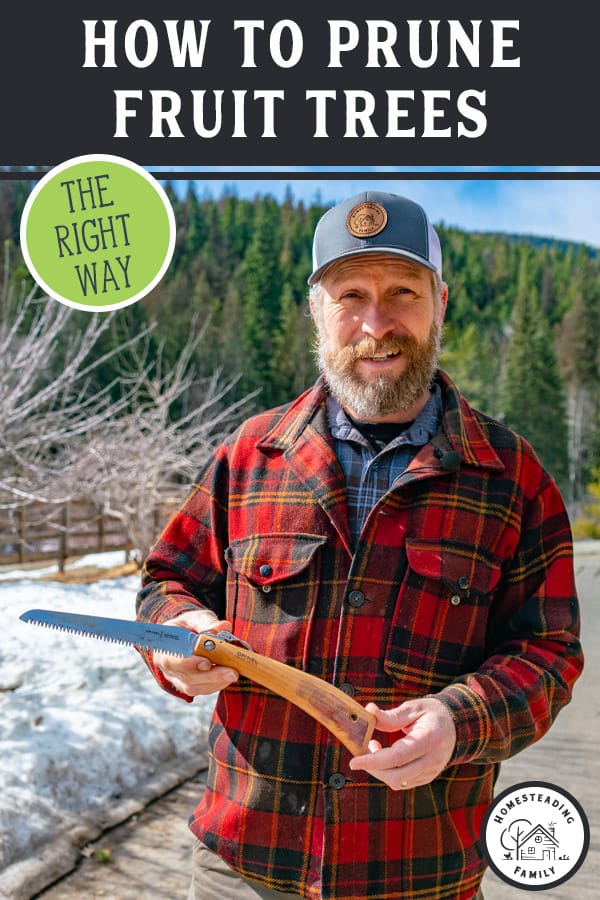 PRUNING FRUIT TREES THE RIGHT WAY (FOR THE BEST HARVEST)