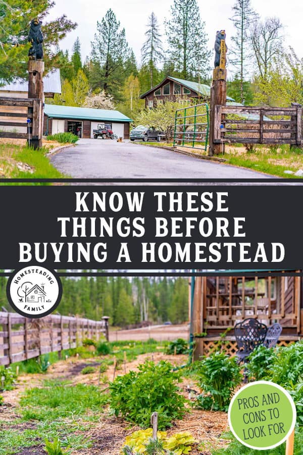 How to Buy a Homestead Property - What To Know Before You Buy