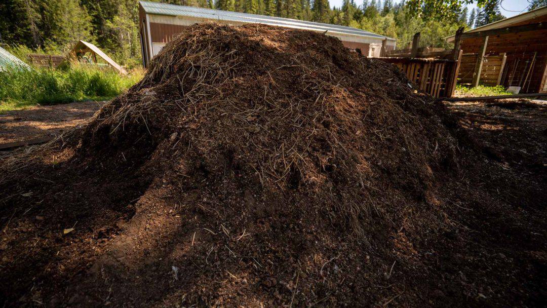 Can You Compost Meat & Other Animal Parts? — Homesteading Family