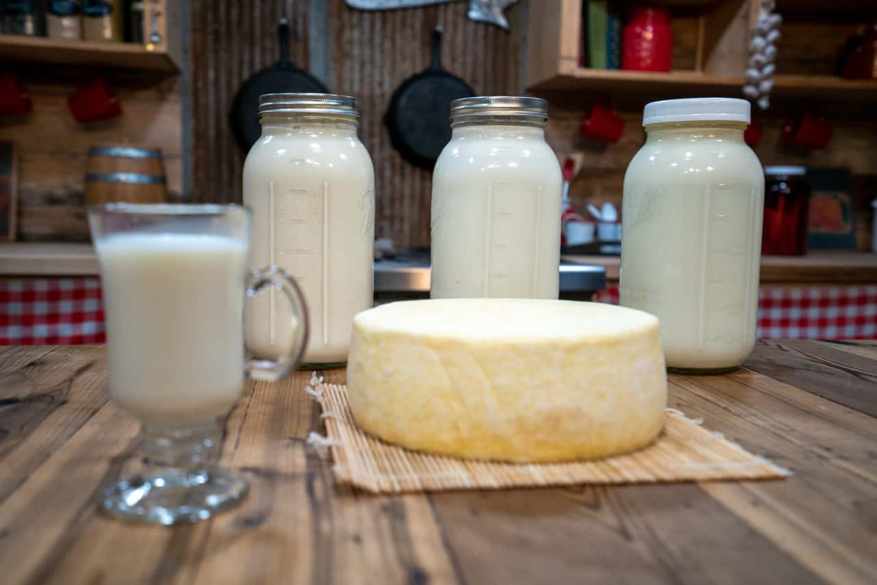 What To Do With Raw Milk + The Anatomy of Raw Milk