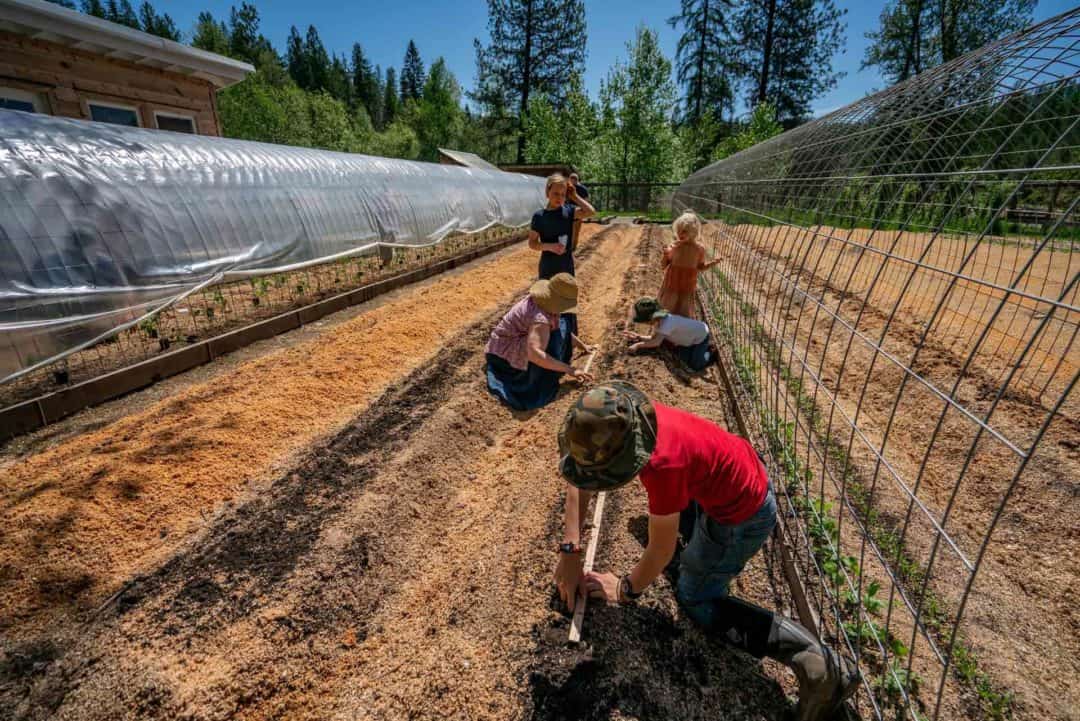 Late Start Gardening Tips (It's Not Too Late!) — Homesteading Family
