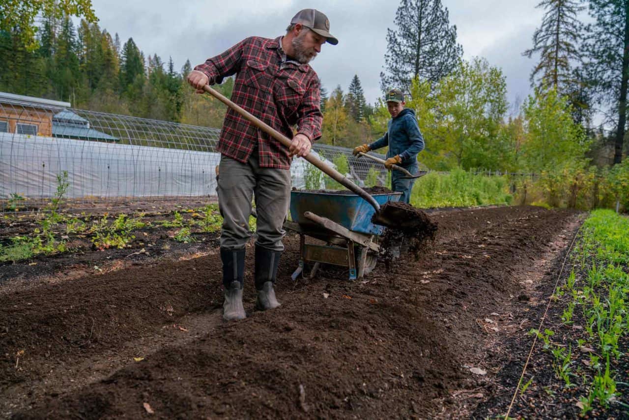 How to Plant Garlic (Fall Garlic Planting) — Homesteading Family