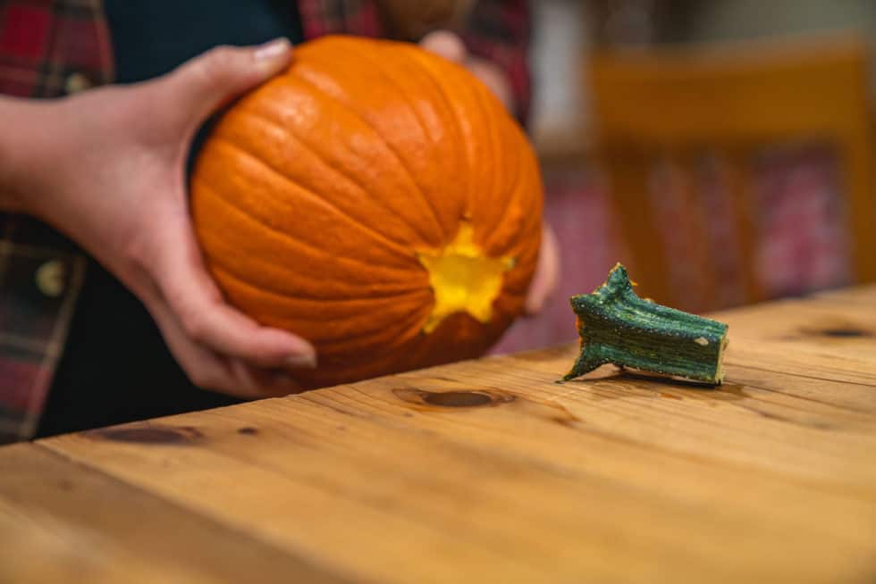 How to Make Pumpkin Puree From Scratch