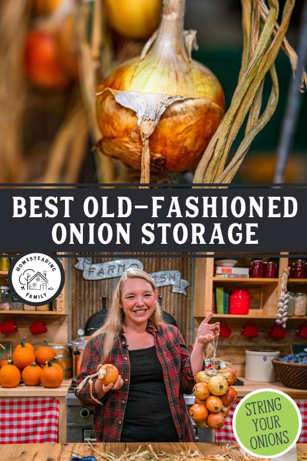 How to Store Onions the RIGHT Way — Homesteading Family