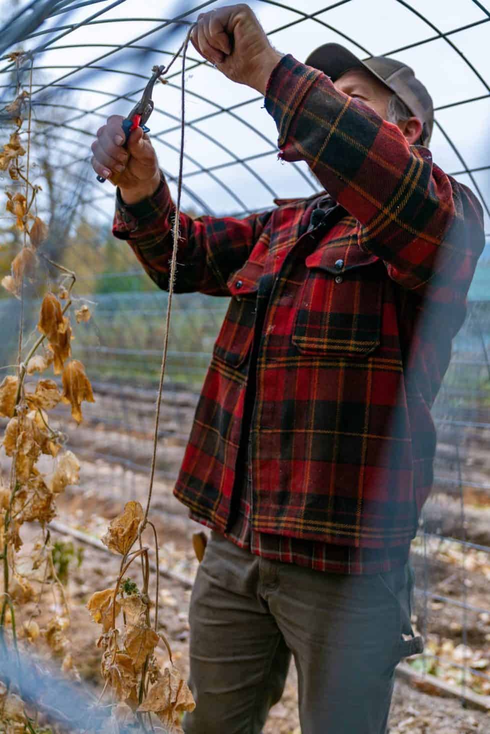 Preparing the Garden for Winter in the Fall