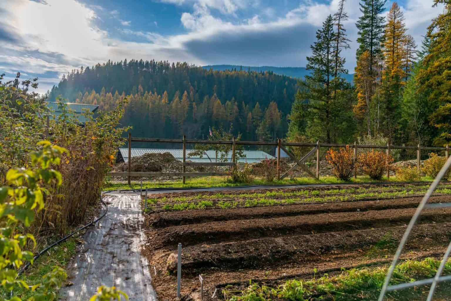 Making Raised Garden Bed Rows & Super-Charging Your Soil