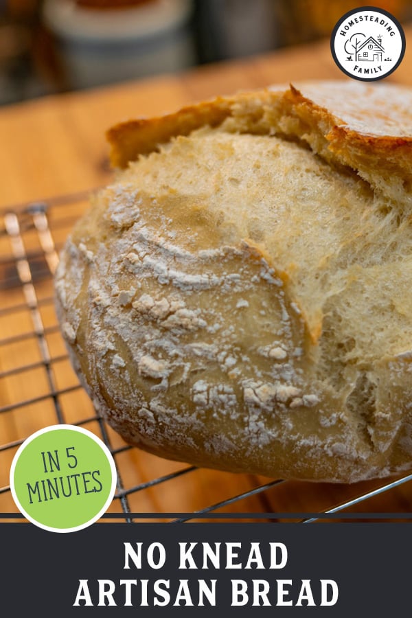 5-Minute No-Knead Artisan Bread - Just 4 Ingredients
