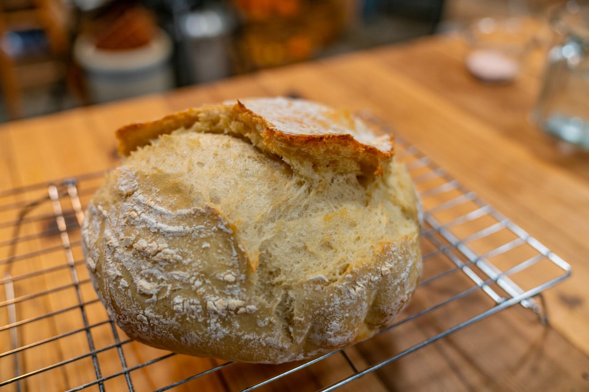 Eating Seasonally on the Homestead — Homesteading Family