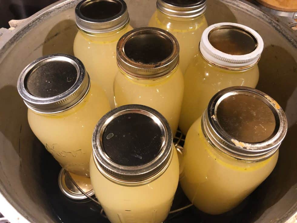 Instant Pot Chicken Bone Broth — Homesteading Family