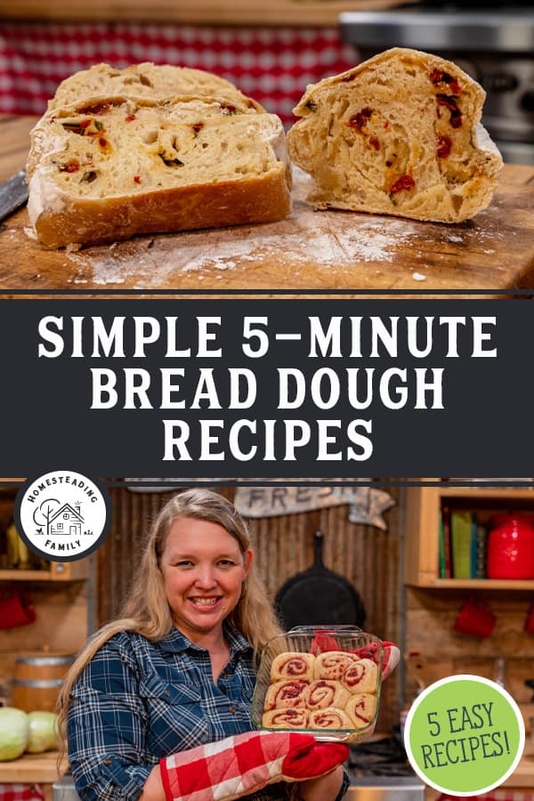 5 Ways to Use No-Knead Bread Dough — Homesteading Family