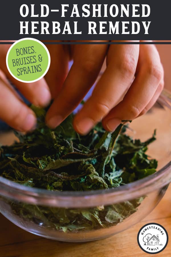 Bone Healing Comfrey Compress — Homesteading Family