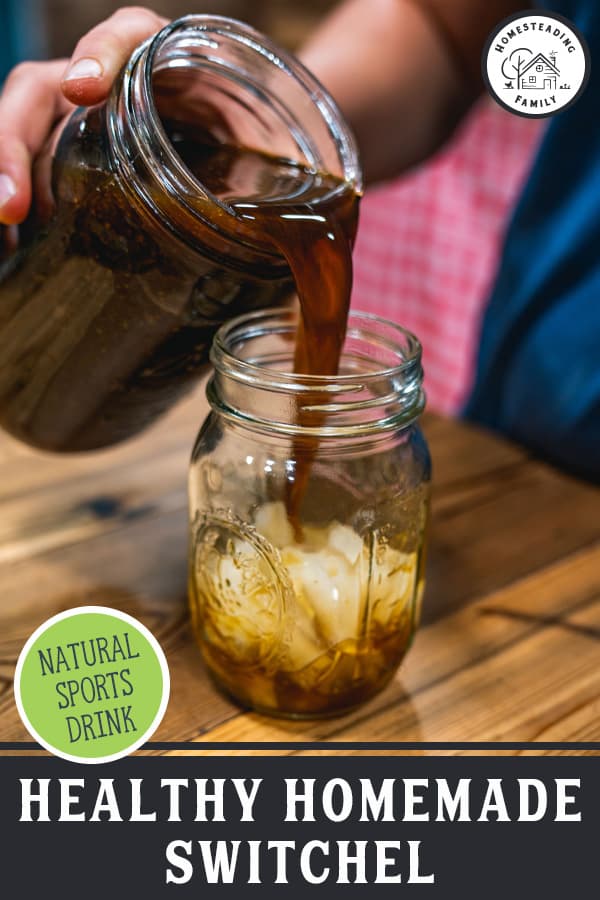 Switchel Recipe (Apple Cider Vinegar Drink or Haymaker's Punch)