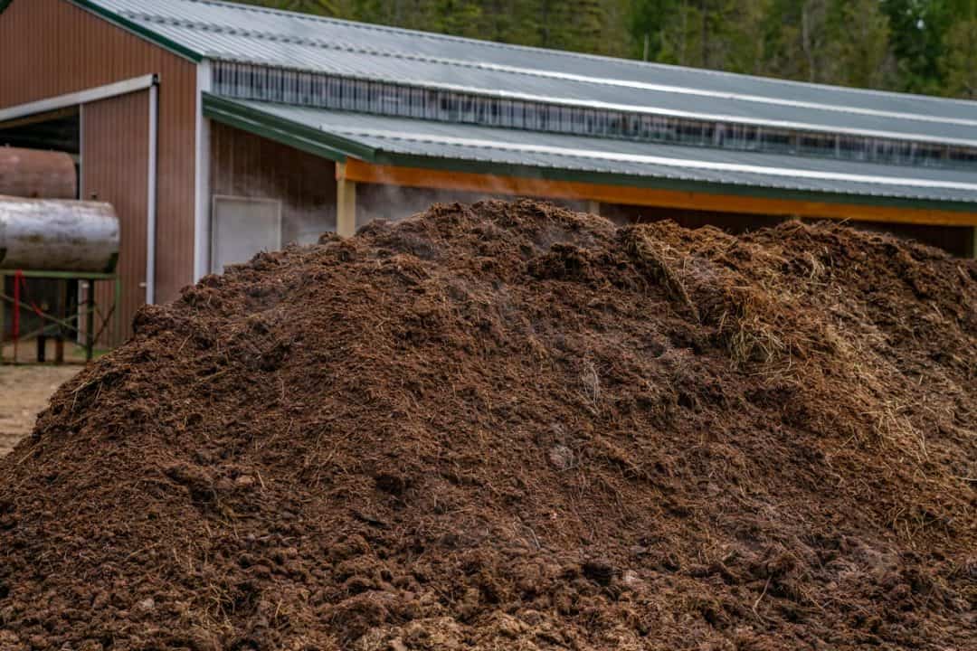 How to Make Compost the Easy Way — Homesteading Family