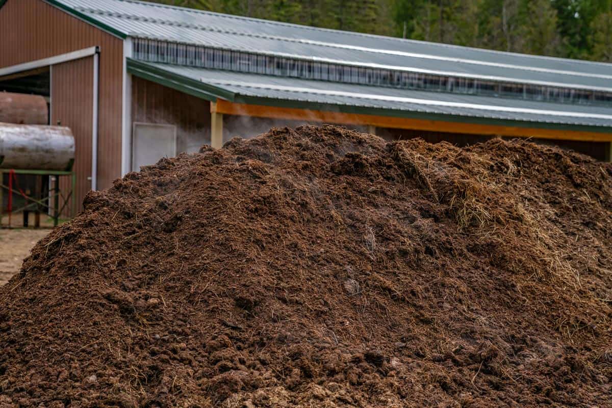 How to Make Compost the Easy Way — Homesteading Family