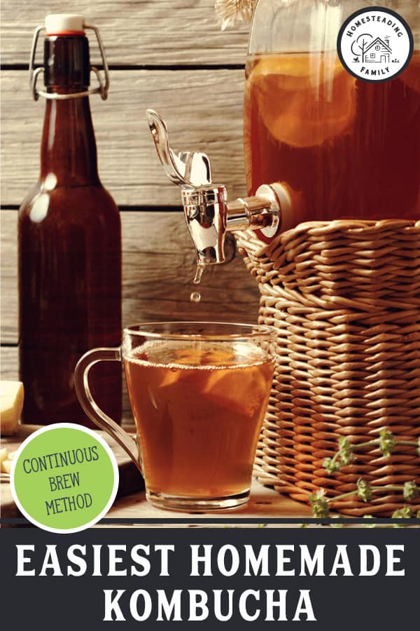 Homemade Kombucha - A Healthy Summer Drink — Homesteading Family