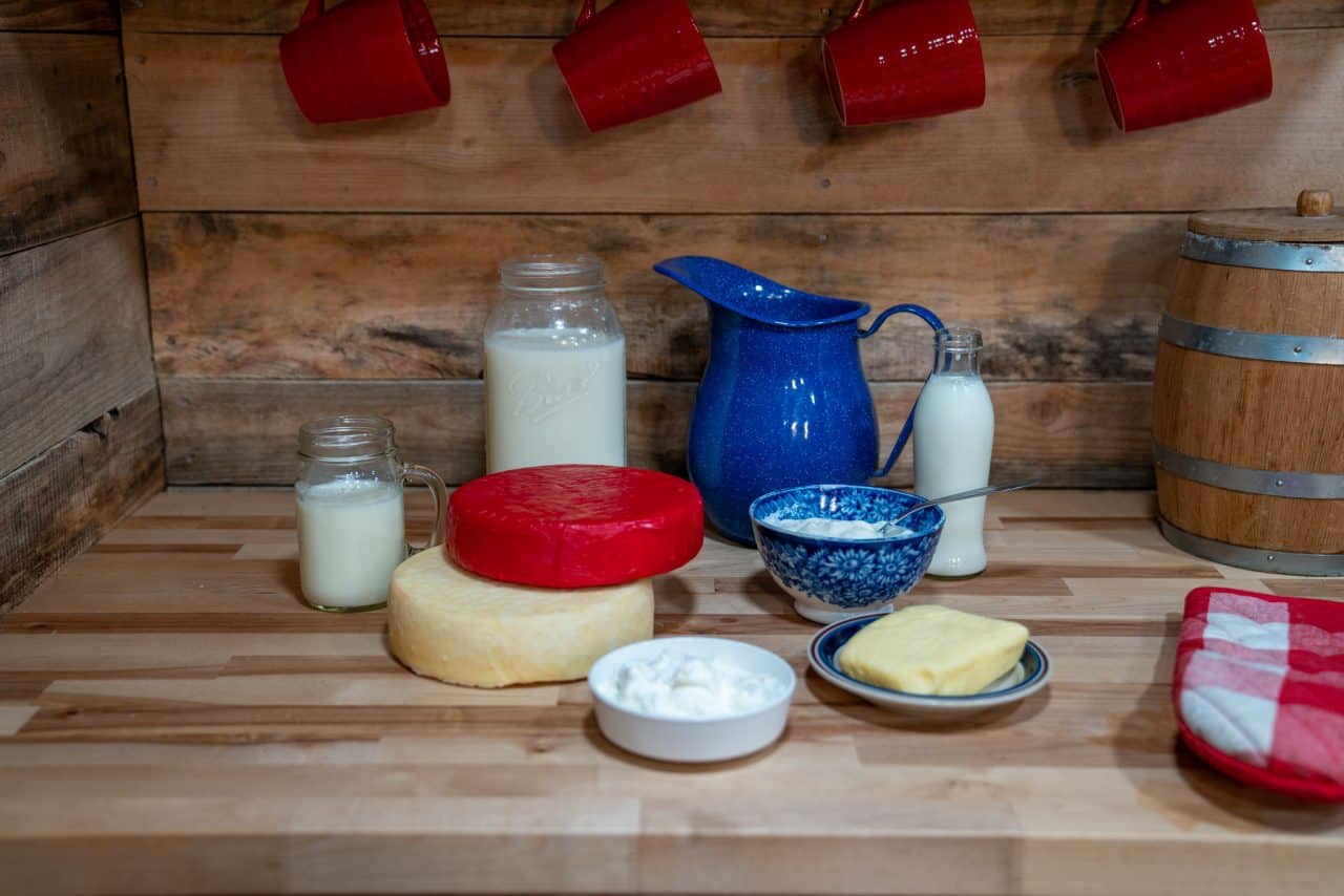 Can You Make Cheese From Store-Bought Milk? — Homesteading Family