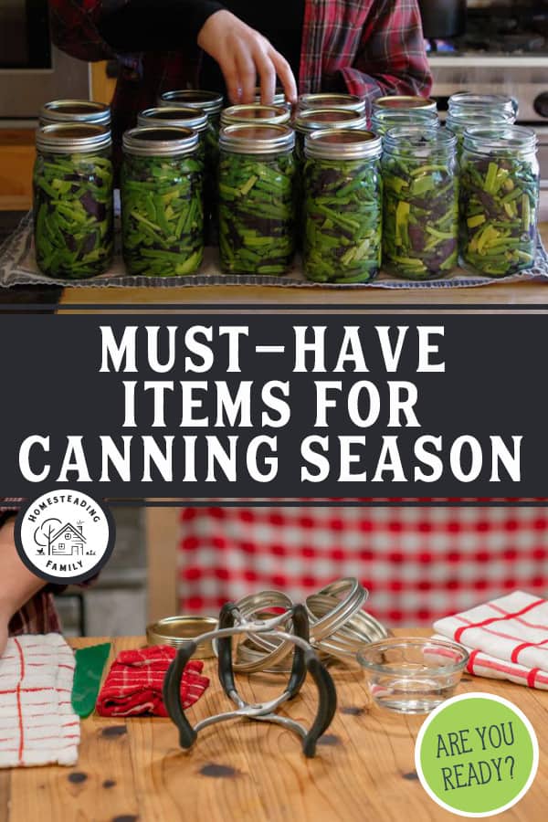 How to Get Ready for Preservation Season — Homesteading Family