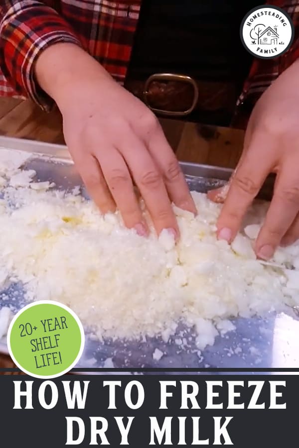 How to Freeze Dry Milk — Homesteading Family