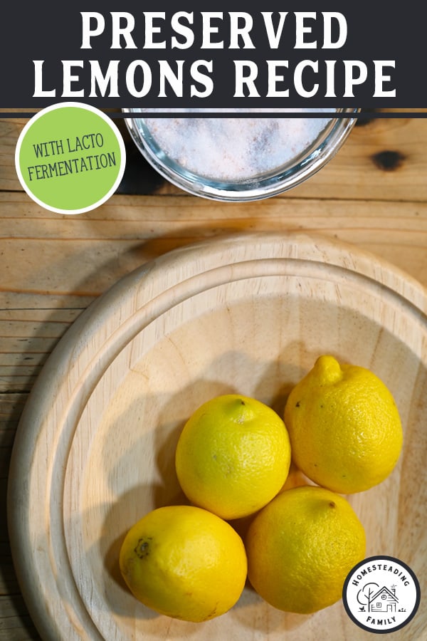 Preserved Lemons (Easy Fermented Lemons) — Homesteading Family