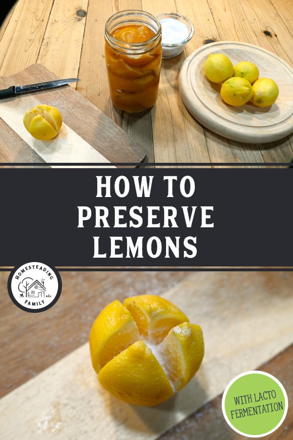Preserved Lemons (Easy Fermented Lemons) — Homesteading Family