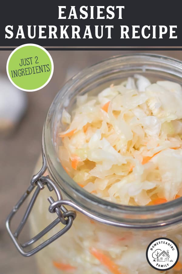 Easy Fermented Sauerkraut Recipe — Homesteading Family