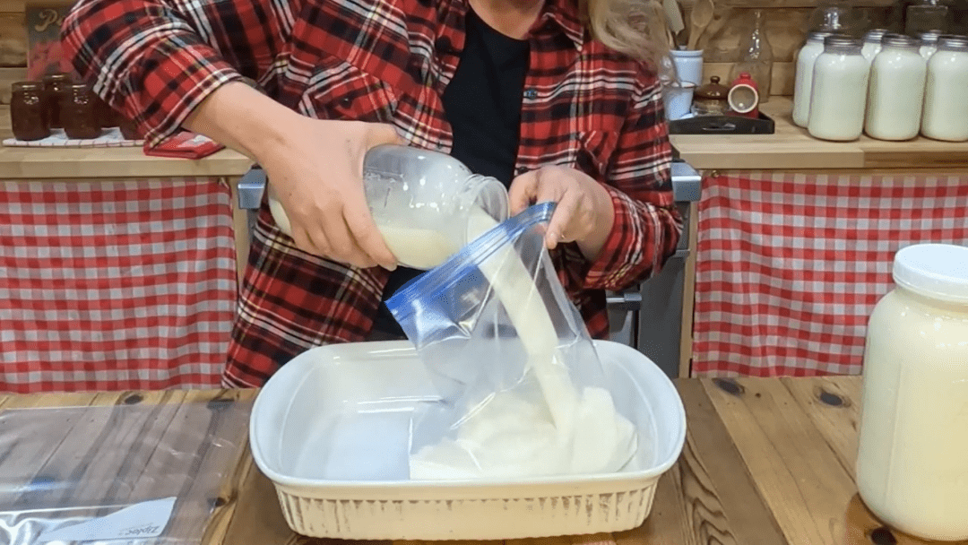 How to Freeze Milk (Or Freeze Dry Milk) — Homesteading Family