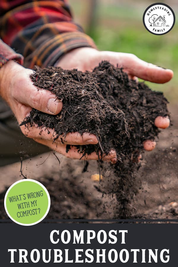 Home Composting (Troubleshooting & FAQs) — Homesteading Family