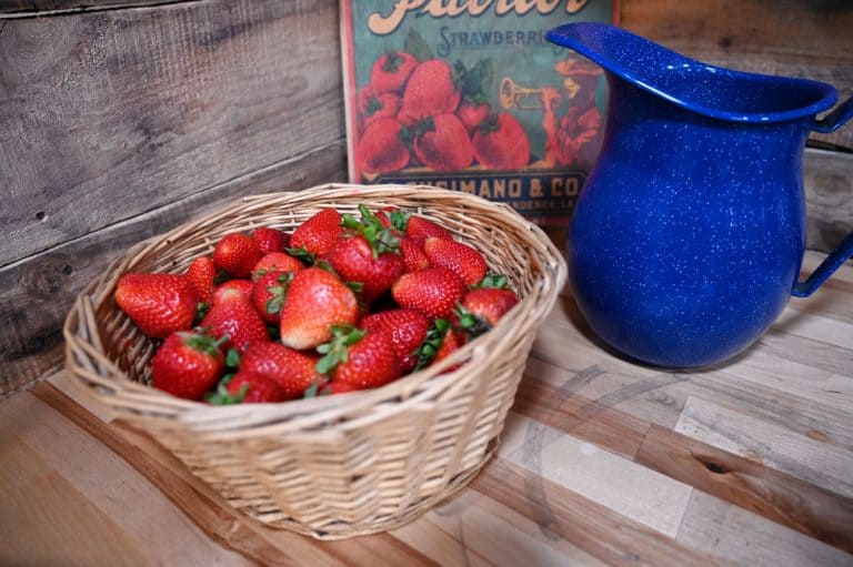 How to Freeze Dry Strawberries — Homesteading Family