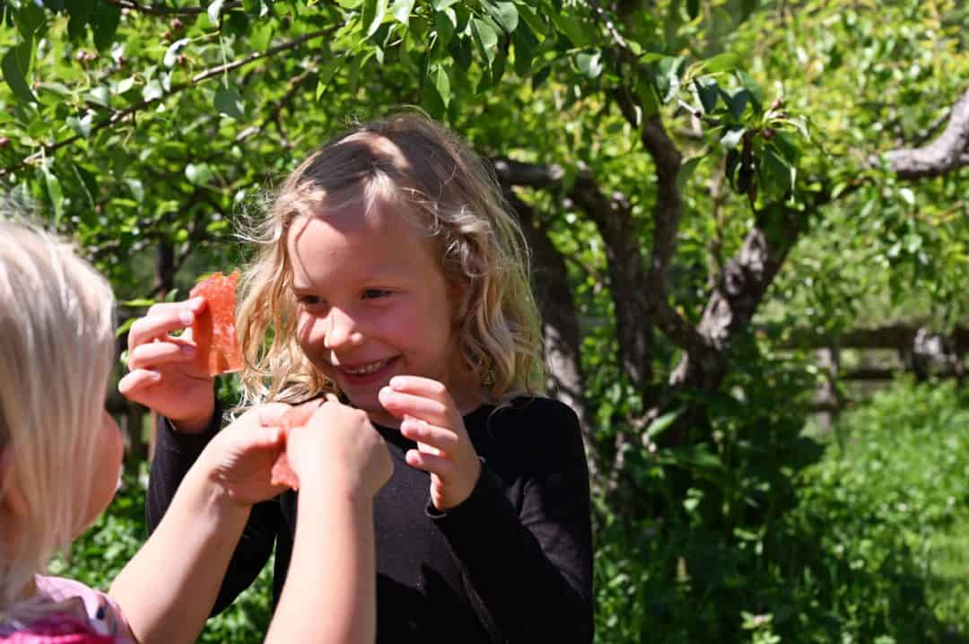 Easy Fruit Leather Recipe (Soft & Chewy + A Secret Ingredient)
