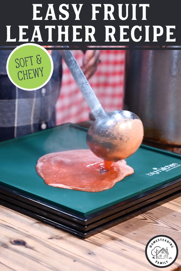Easy Fruit Leather Recipe (Soft & Chewy + A Secret Ingredient)