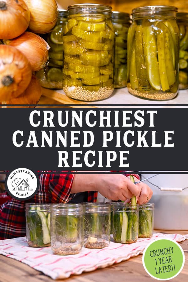 How to Make Pickles (Easy Garlic Dill Recipe)
