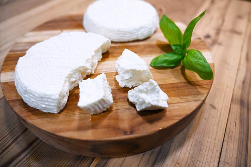 Making Homemade Dairy Products Practical — Homesteading Family