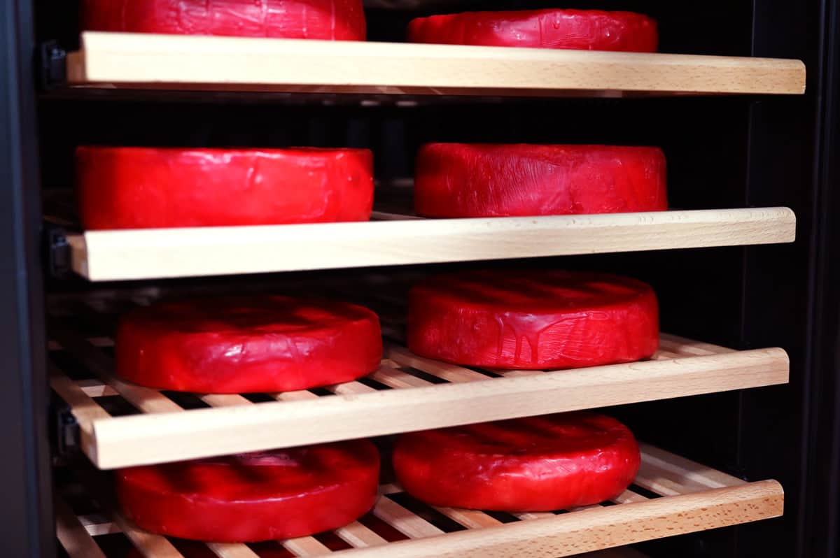 Making Homemade Dairy Products Practical — Homesteading Family
