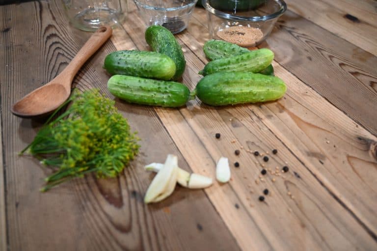 Quick & Easy Refrigerator Pickles (Garlic Dill Pickles)