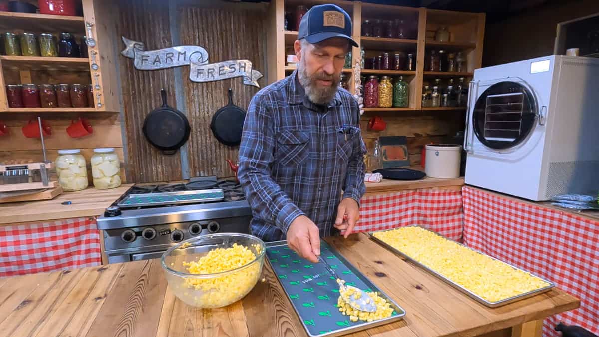 Homemade Freeze Dried Corn — Homesteading Family