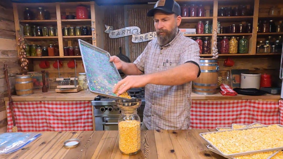 Homemade Freeze Dried Corn — Homesteading Family