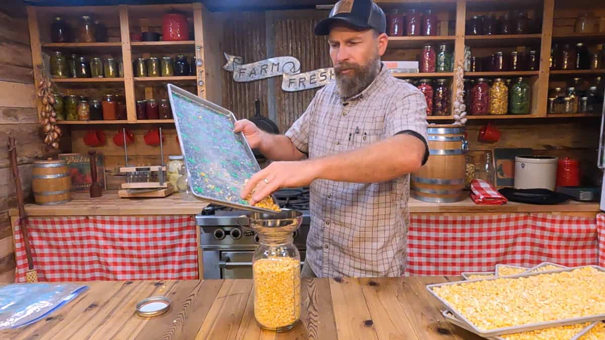 Homemade Freeze Dried Corn — Homesteading Family