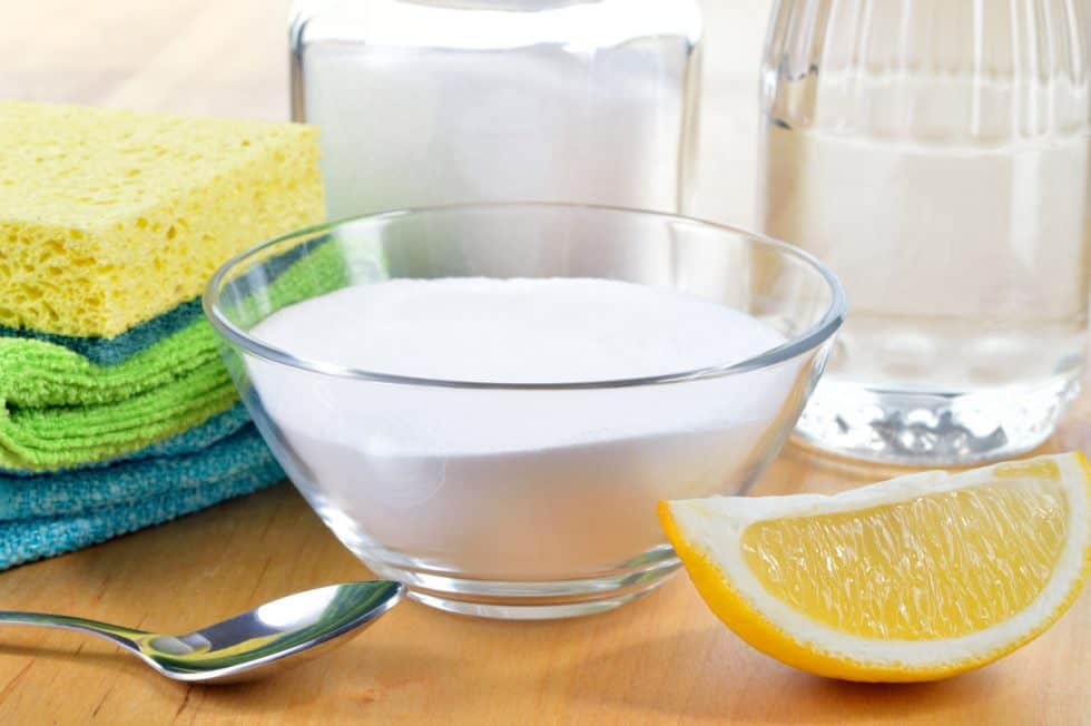 Homemade All-Purpose Cleaning Powder — Homesteading Family