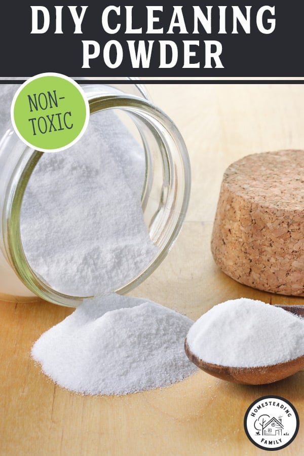 All Purpose Ultra Clean Cleaning Powder at Toni Esser blog