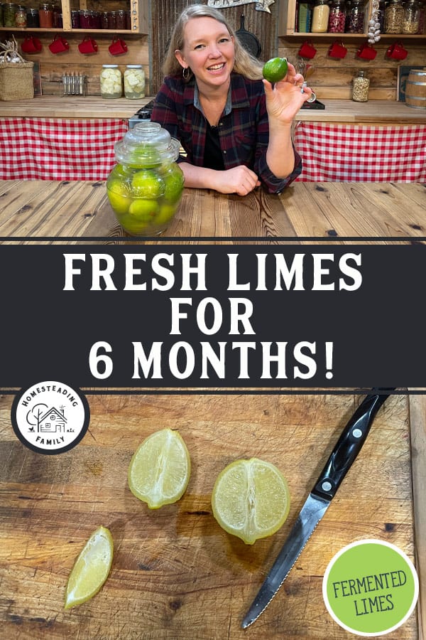 Preserved Limes With Fermentation — Homesteading Family