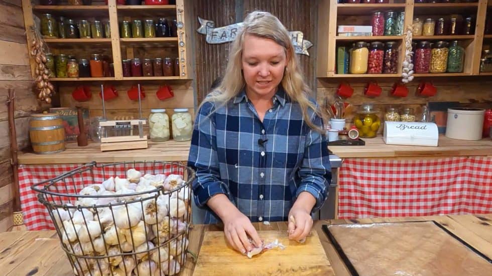 Homemade Garlic Salt (Easier & Better Than Store-Bought) — Homesteading ...