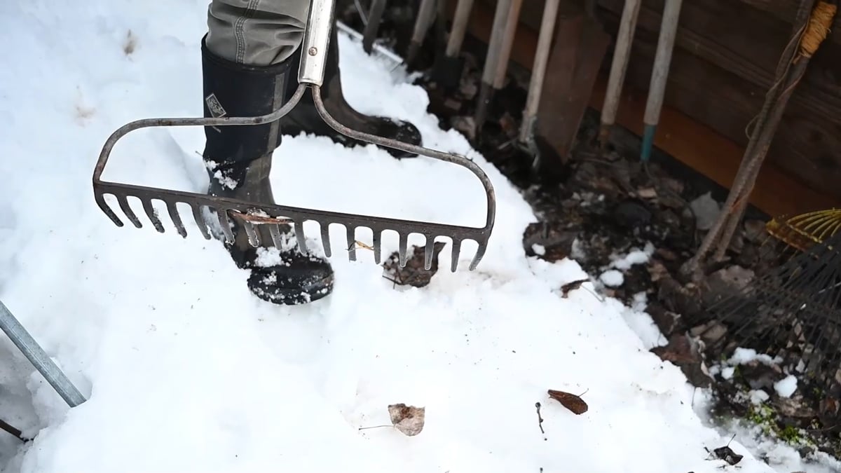 My Favorite Tools for Gardening (And How to Care for Garden Tools ...