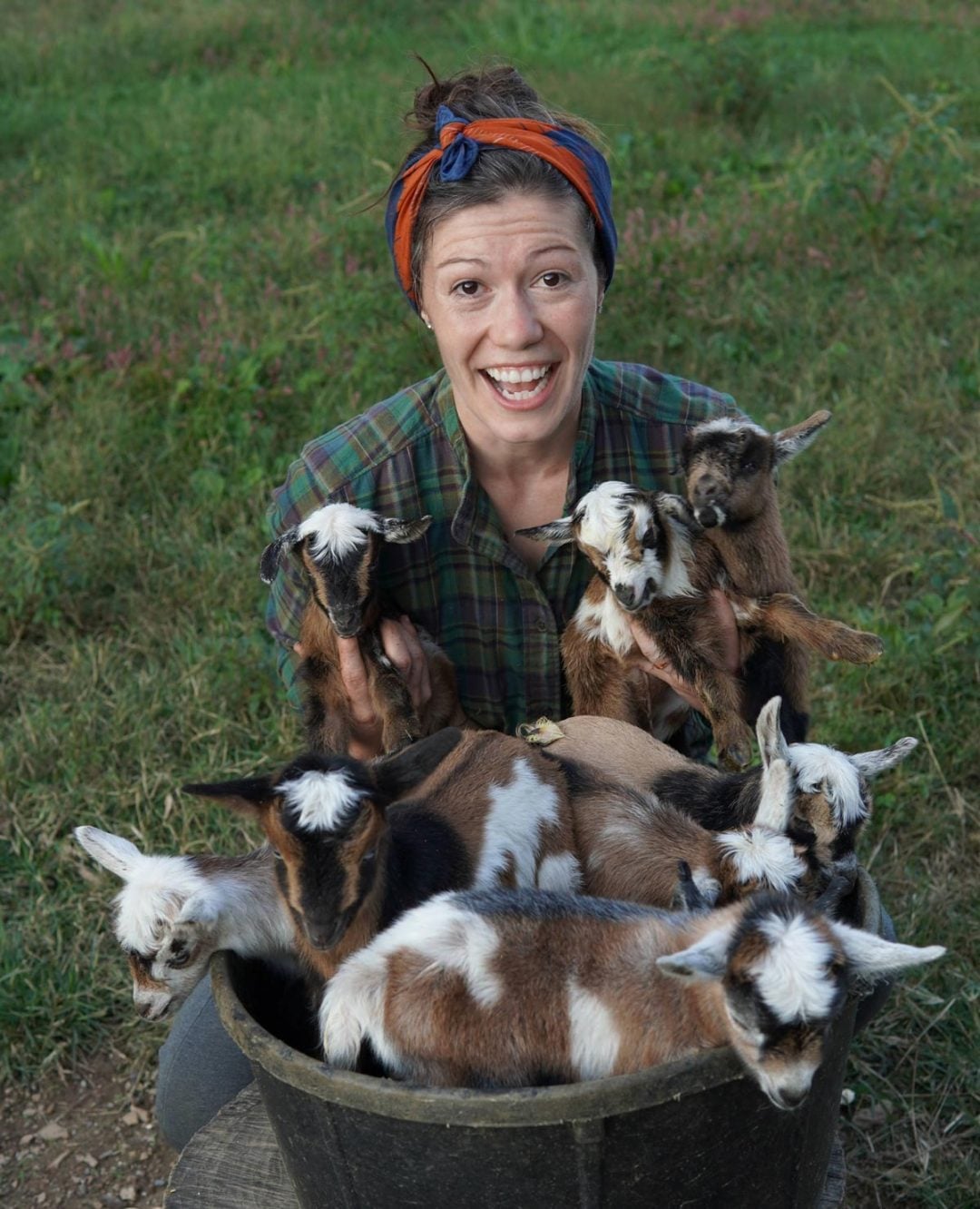 Raising Goats 101: For Dairy — Homesteading Family
