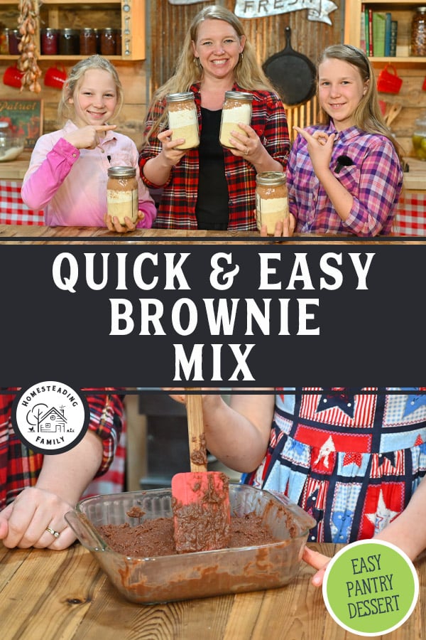 Easy Homemade Brownie Mix (Ready in 10 Minutes) — Homesteading Family
