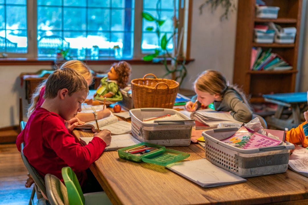 Tips for Gardening & Homesteading With Children — Homesteading Family