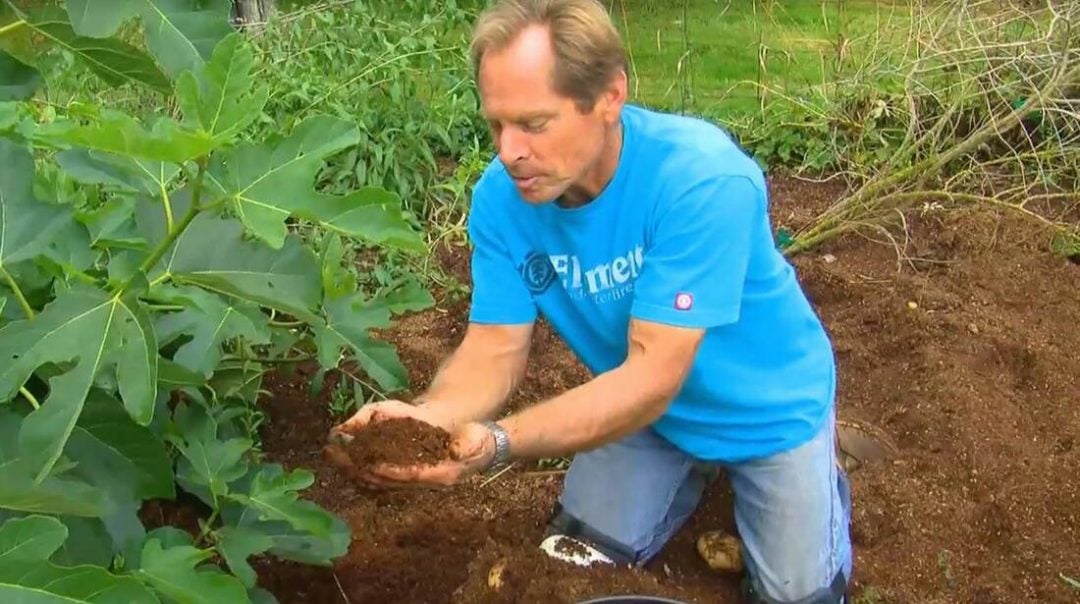 Back to Eden Gardening with Paul Gautschi — Homesteading Family