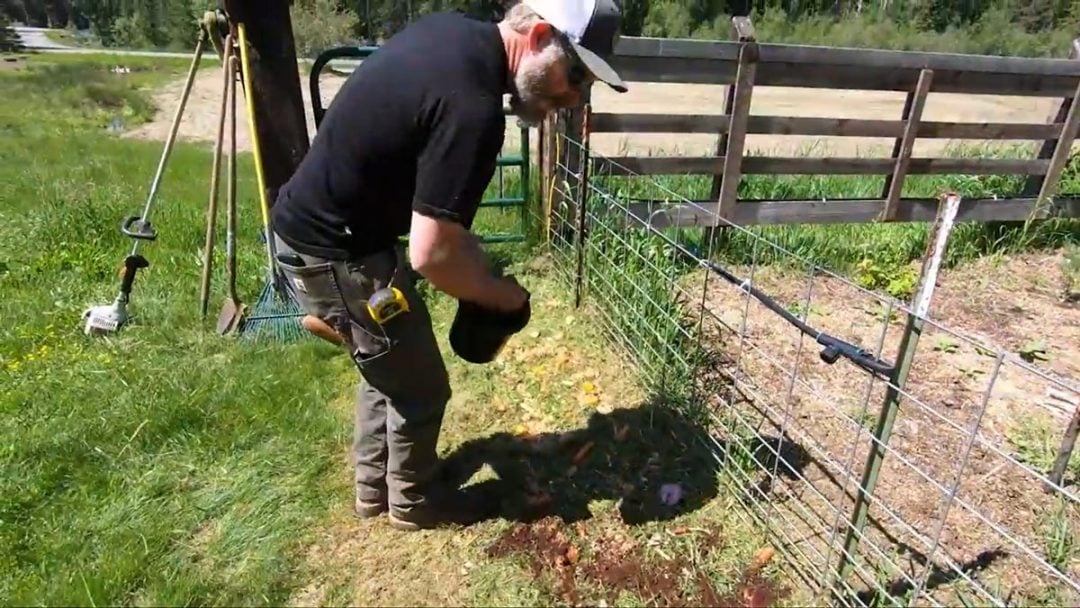 Instant Garden in Under Three Hours — Homesteading Family