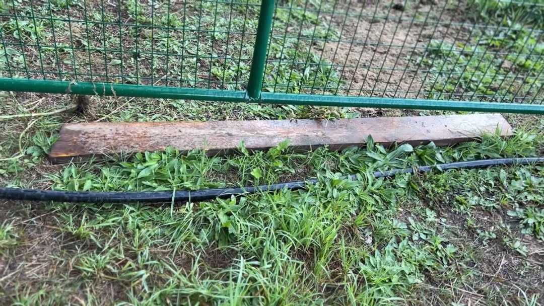 Our Farm Watering System at Riverbend — Homesteading Family