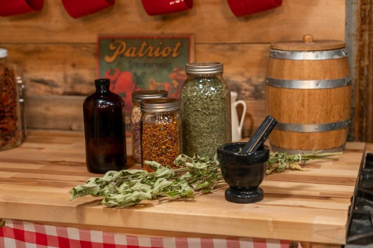 How to Grow Peppermint Plant (Plant, Harvest, Preserve) — Homesteading ...