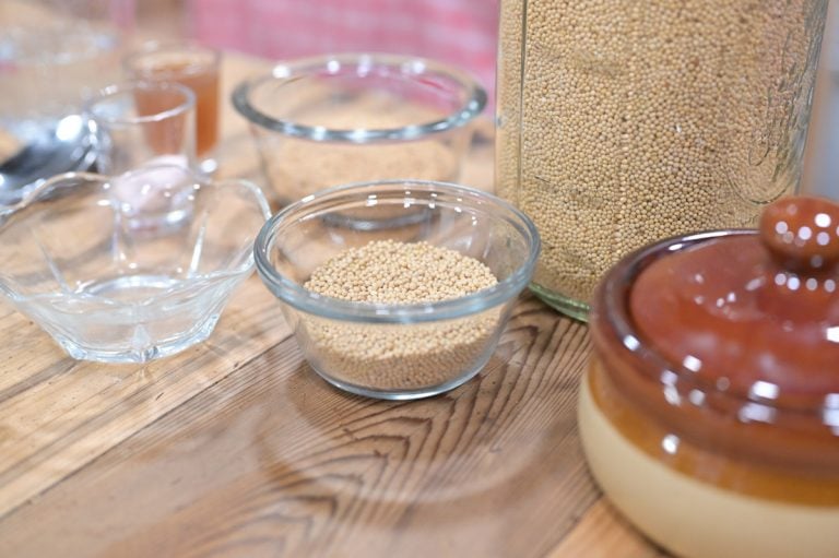 How to Make Mustard From Scratch — Homesteading Family